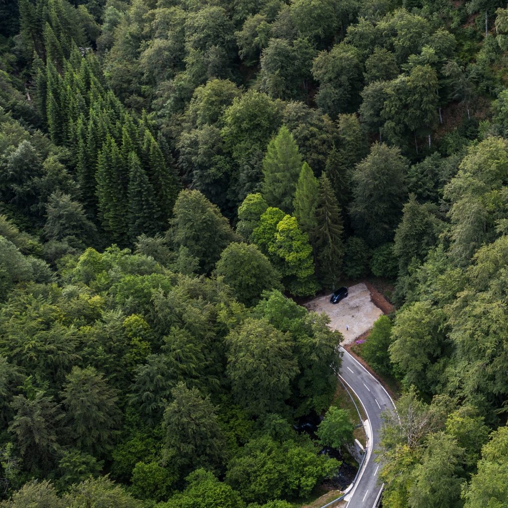 Bosque de Quinto Real, naturaleza en Navarra - Destino Esteribar