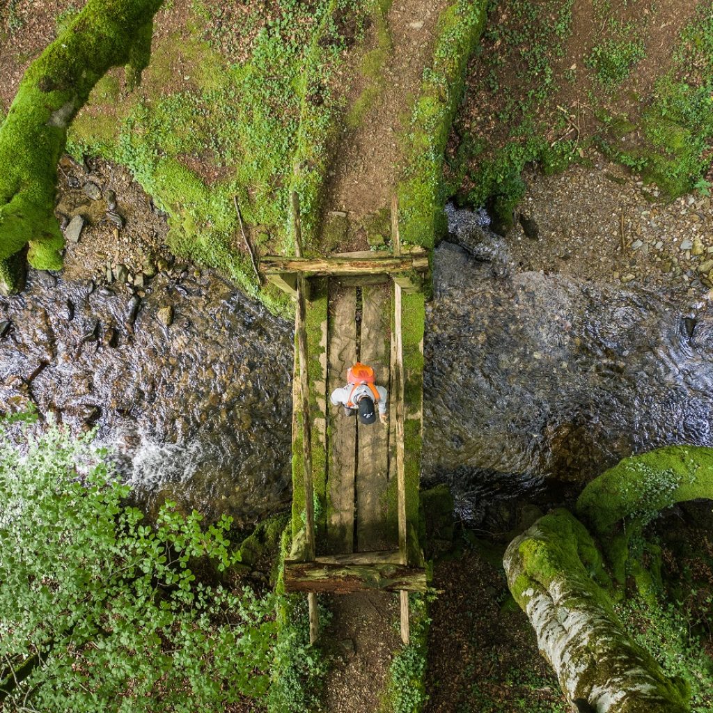 Bosque de Quinto Real, naturaleza en Navarra - Destino Esteribar