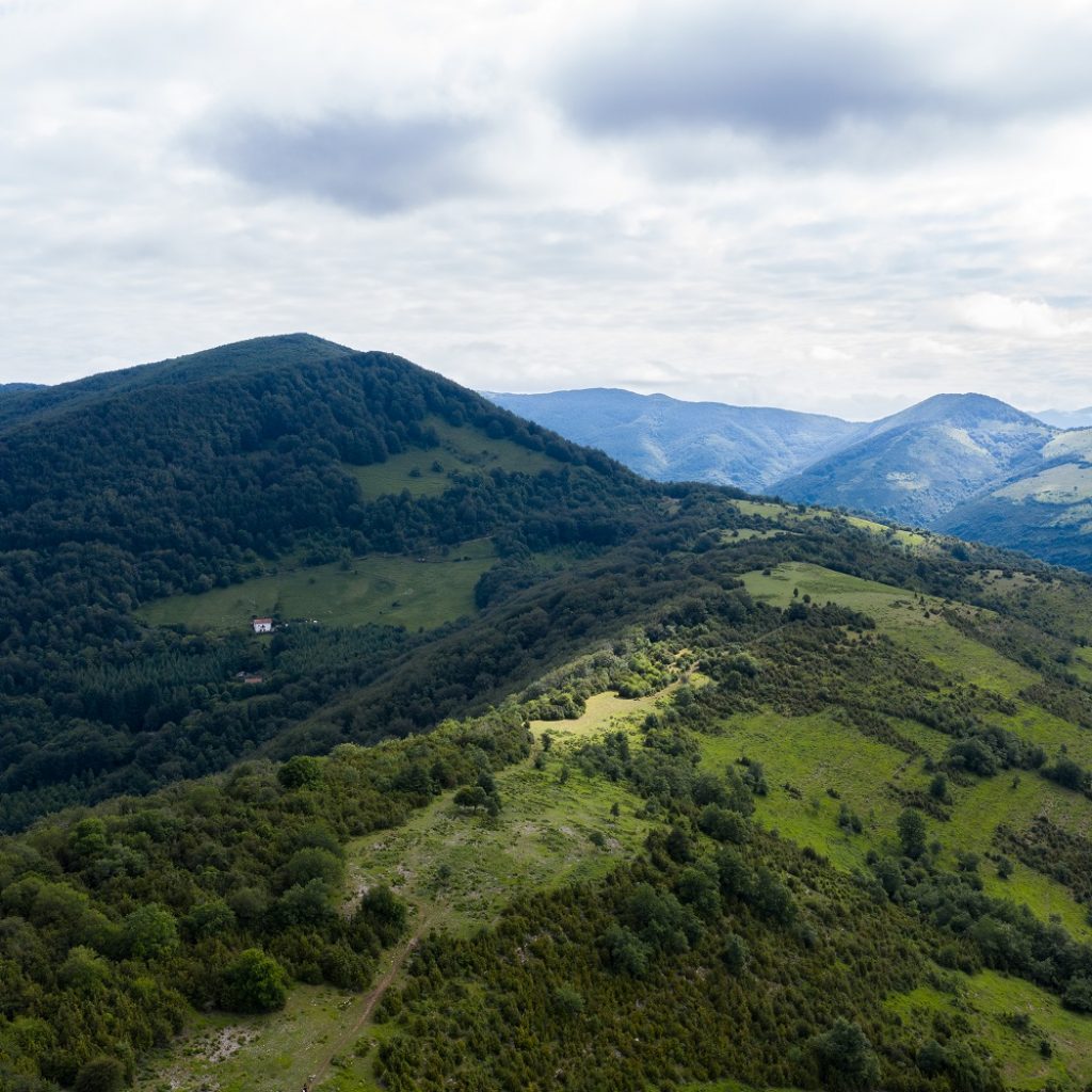 Bosque de Quinto Real, naturaleza en Navarra - Destino Esteribar